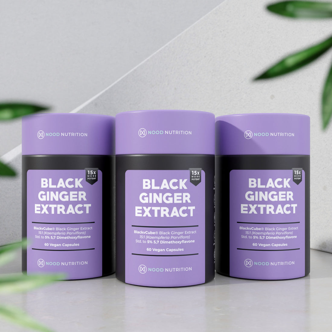 Black Ginger Capsules | Libido & Energy Boost | 2% Standardised Powder ...